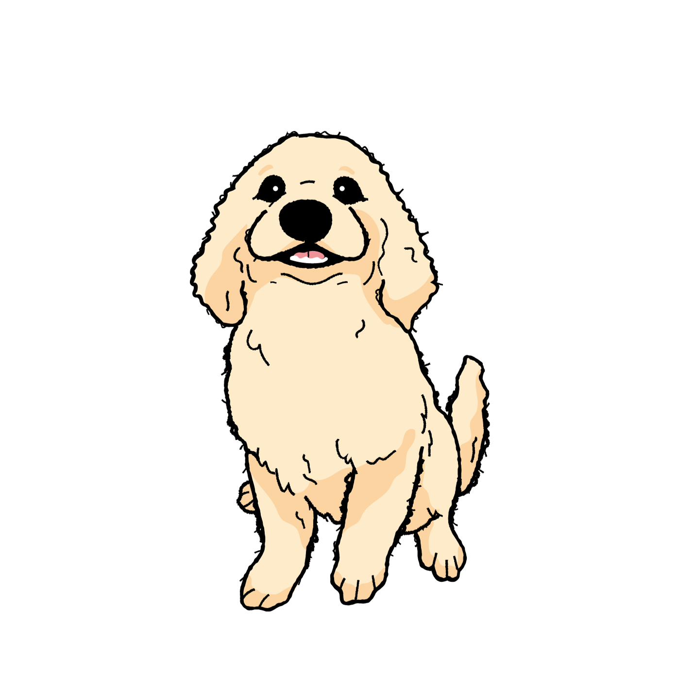 Squish to condish: Add the most moisture! – Shniff